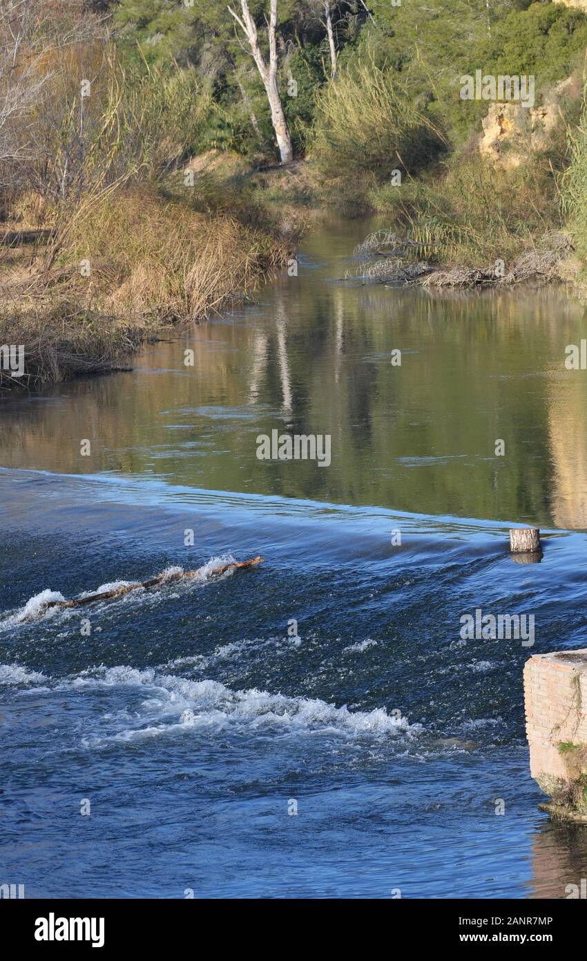 Lower course of the Turia river in winter, Turia natural park, Valencia ...