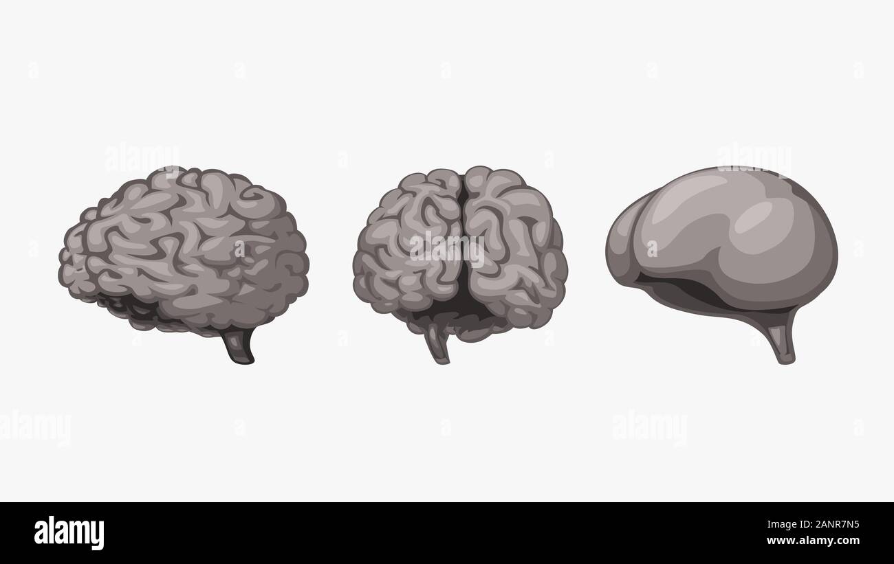 Cartoon head brain symbol Cut Out Stock Images & Pictures - Alamy