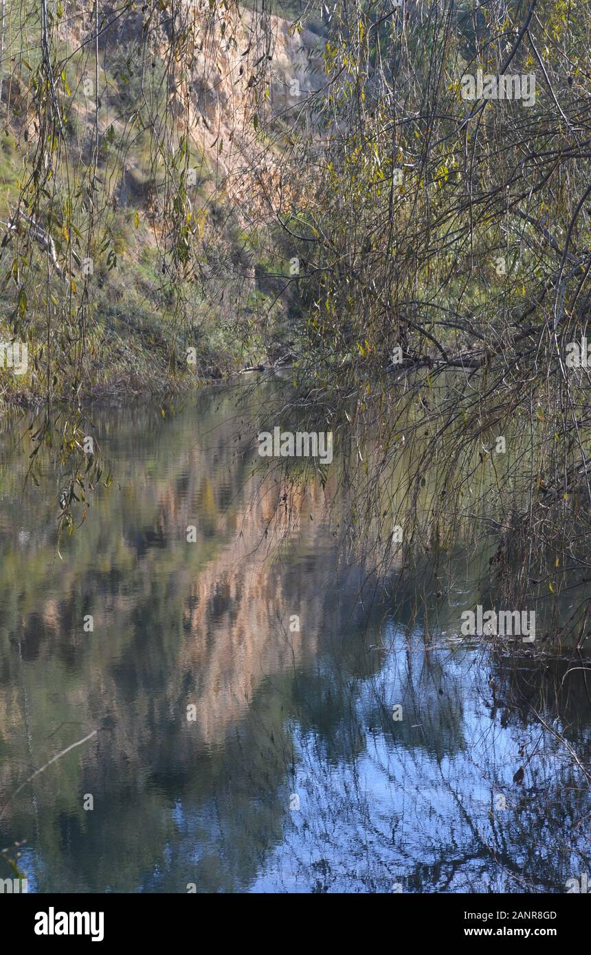 Lower course of the Turia river in winter, Turia natural park, Valencia ...