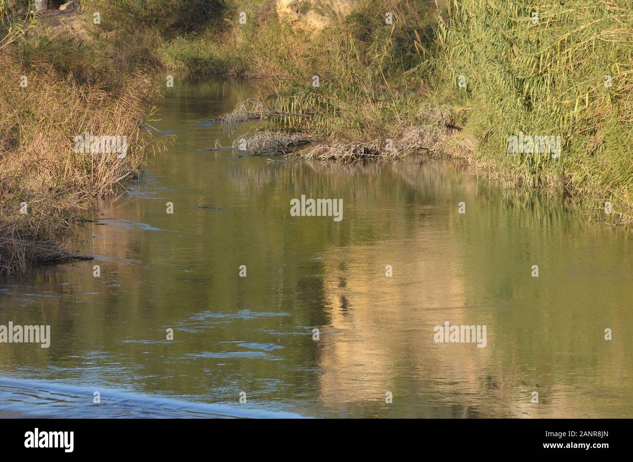 Lower course of the Turia river in winter, Turia natural park, Valencia ...