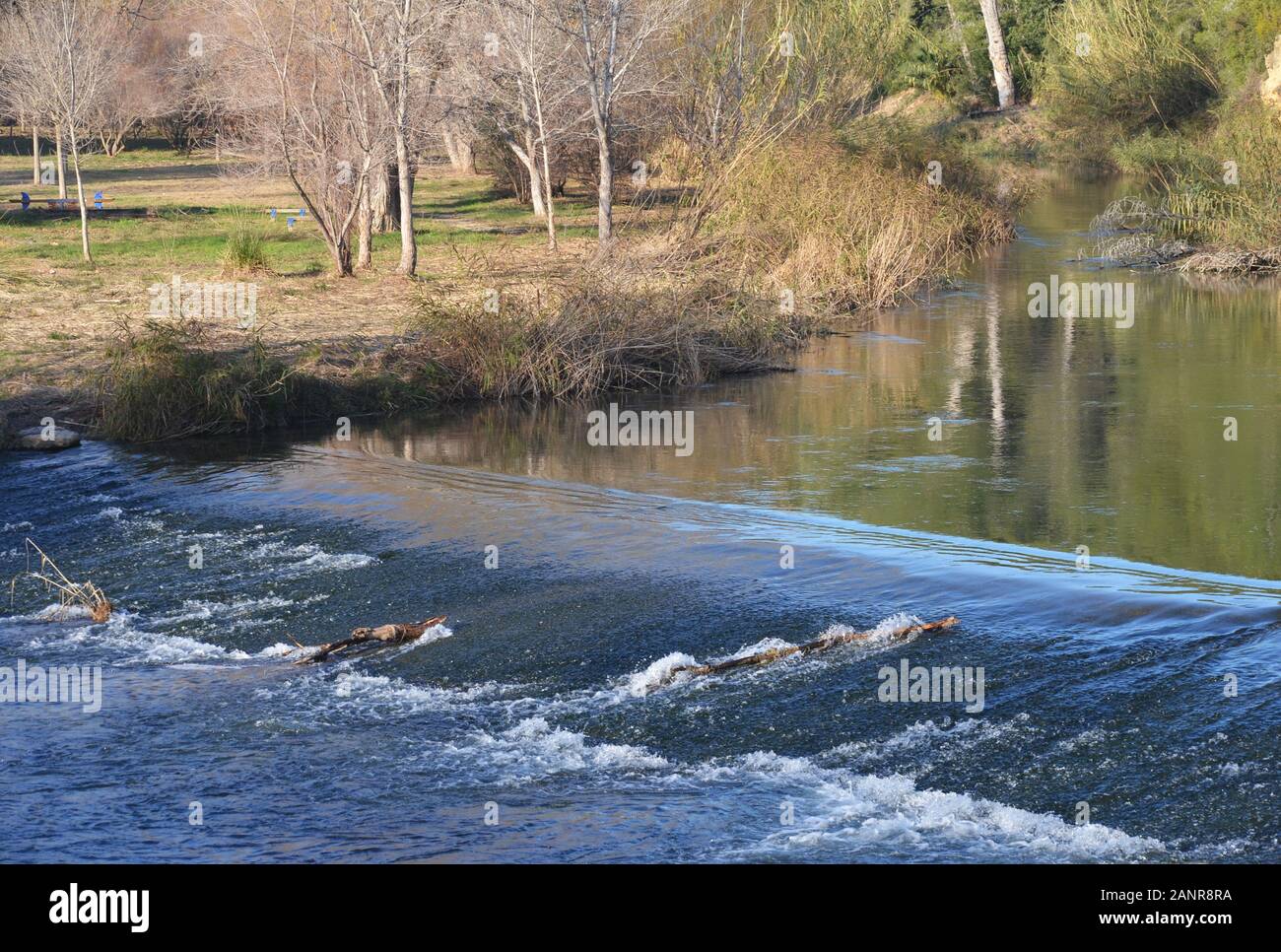 Lower course of the Turia river in winter, Turia natural park, Valencia ...