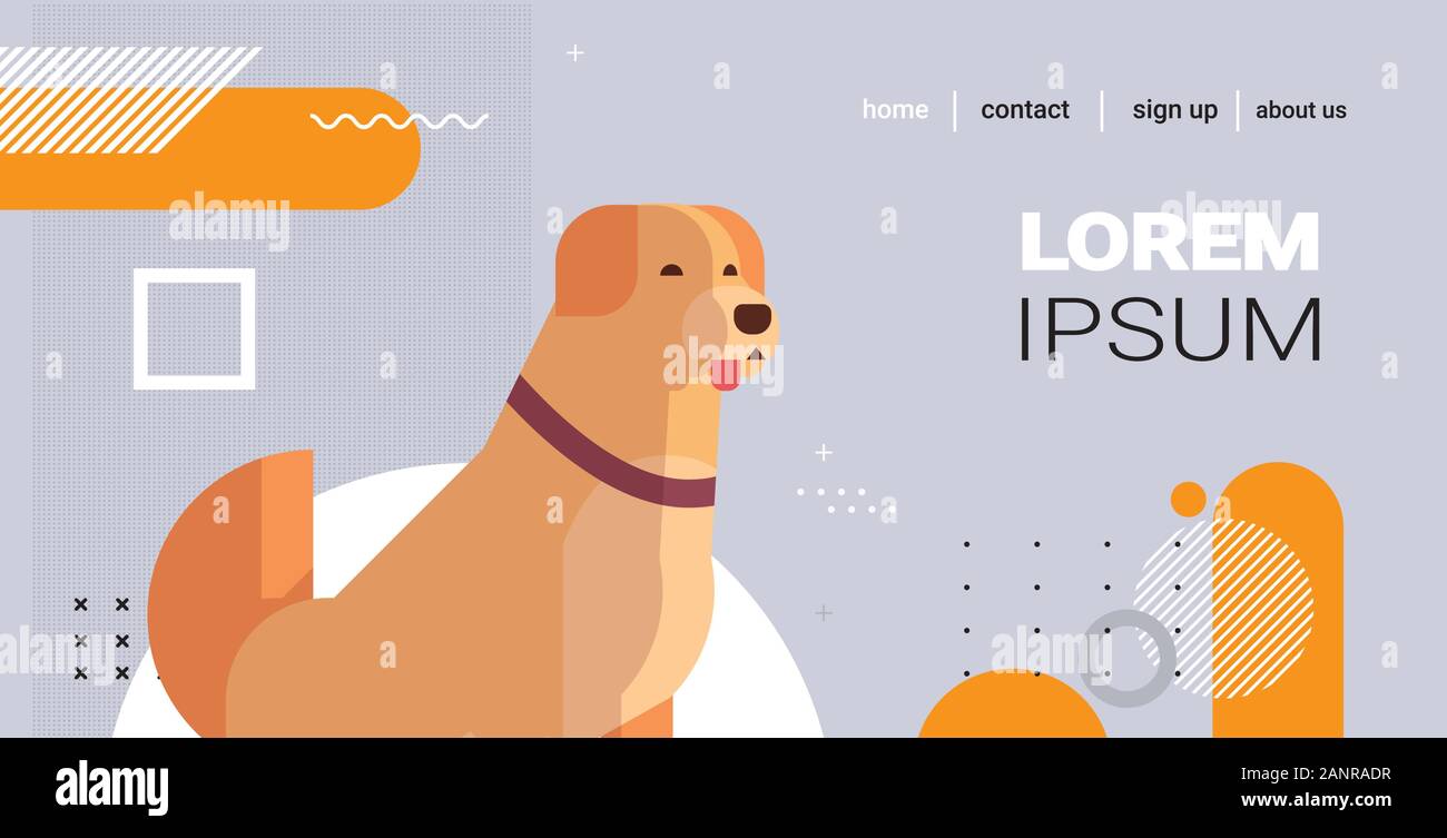 retriever icon cute dog labrador furry human friend home pet cartoon ...