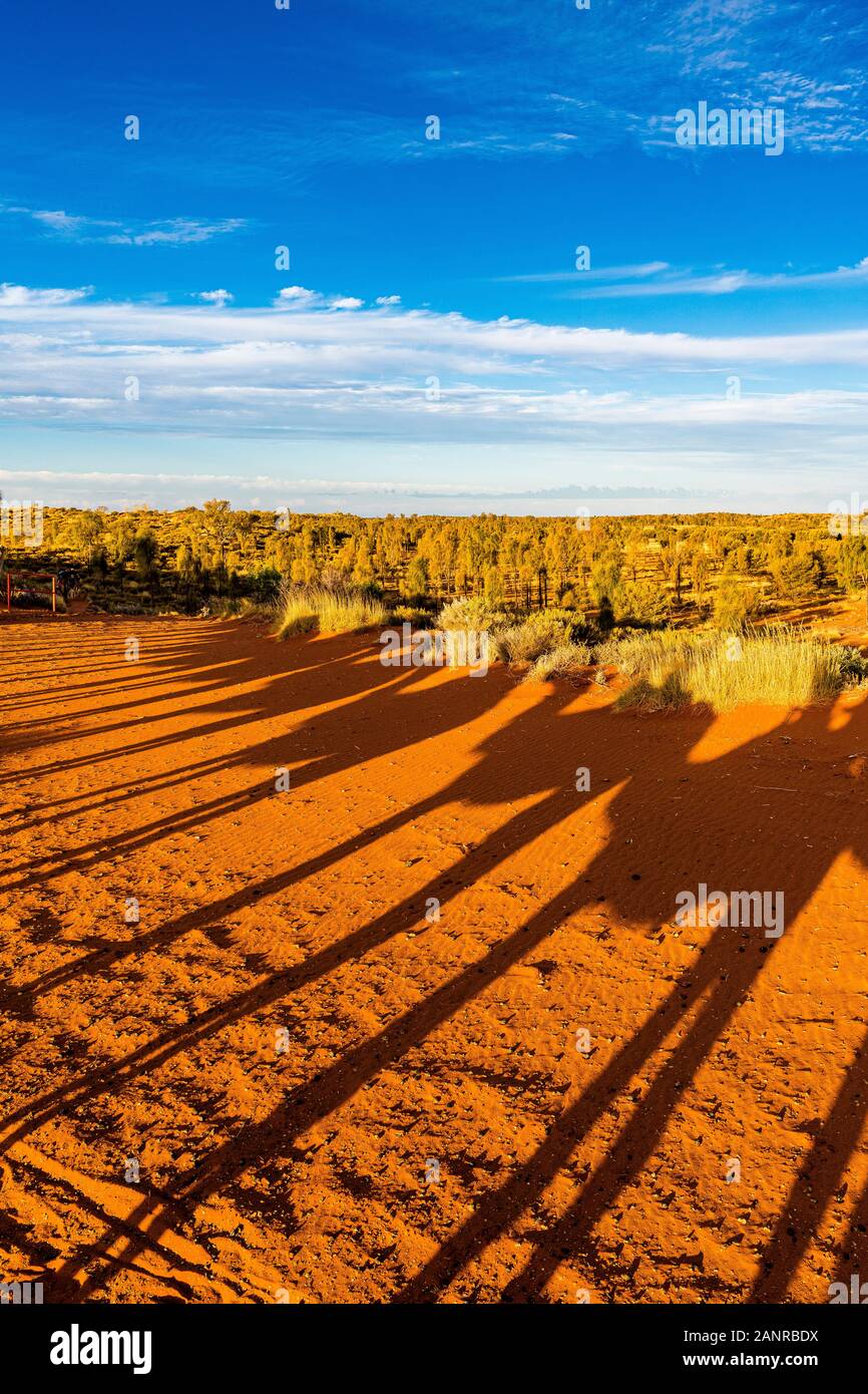 A silhouette of a camel sunset tour in the Australian outback. Uluru ...