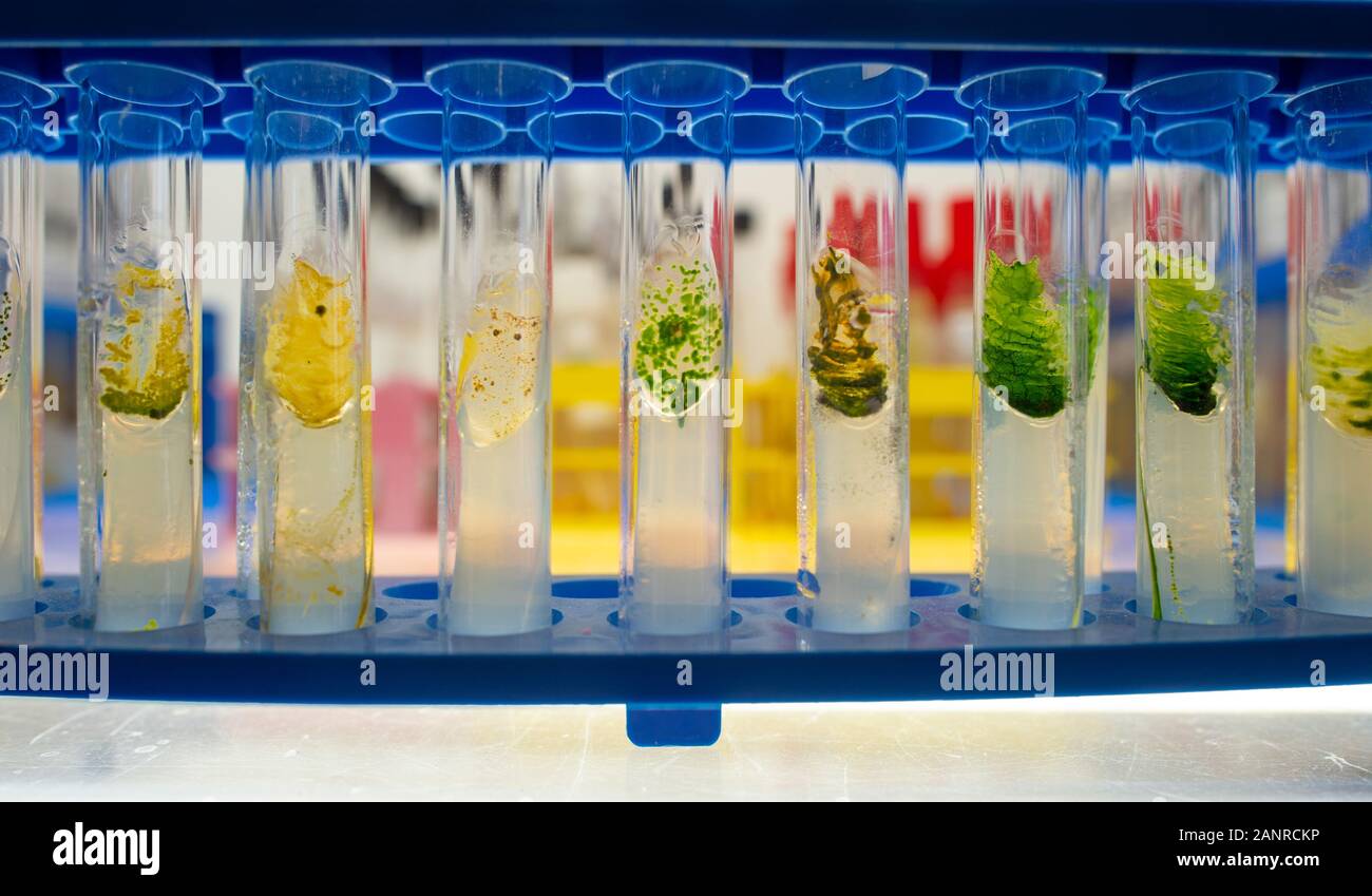 Department of biosciences hi-res stock photography and images - Alamy