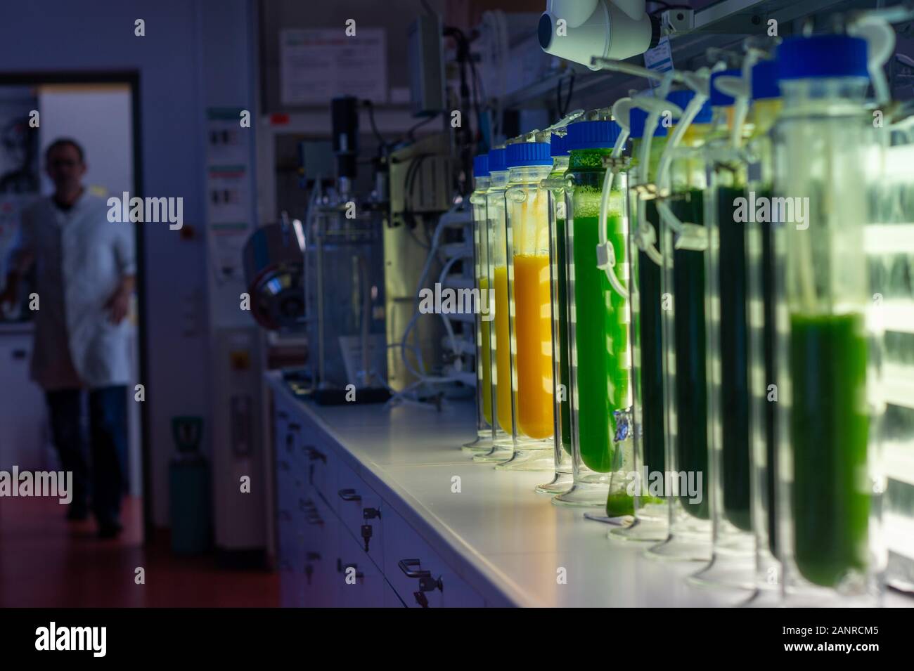 13 January 2020, Saxony-Anhalt, Köthen: Bubble columns are located in ...