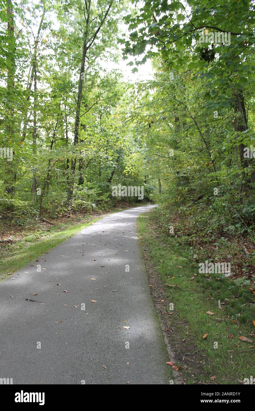 The path to your dreams Stock Photo - Alamy