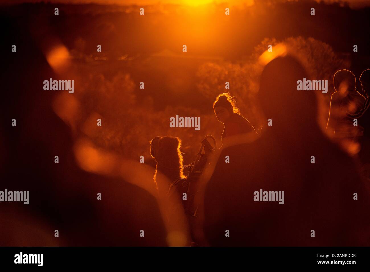 Sunset in the Australian outback. Sun flare, a camel tour guide and ...