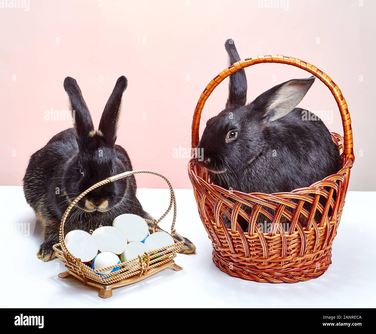 Rabbits with eggs hi-res stock photography and images - Alamy