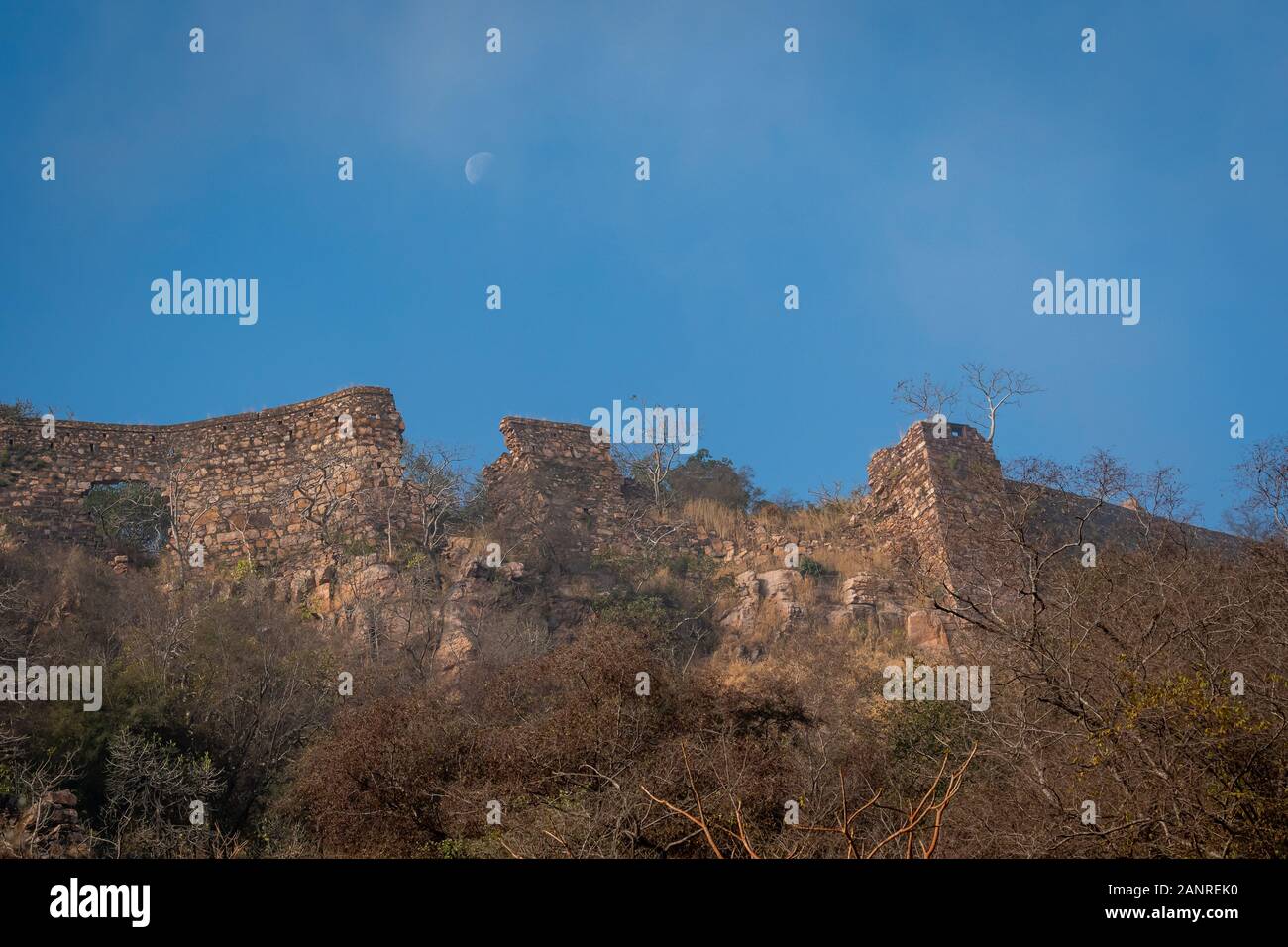 Ranthambore, Sawai Madopur, Rajasthan / India - 18 December 2019 ...