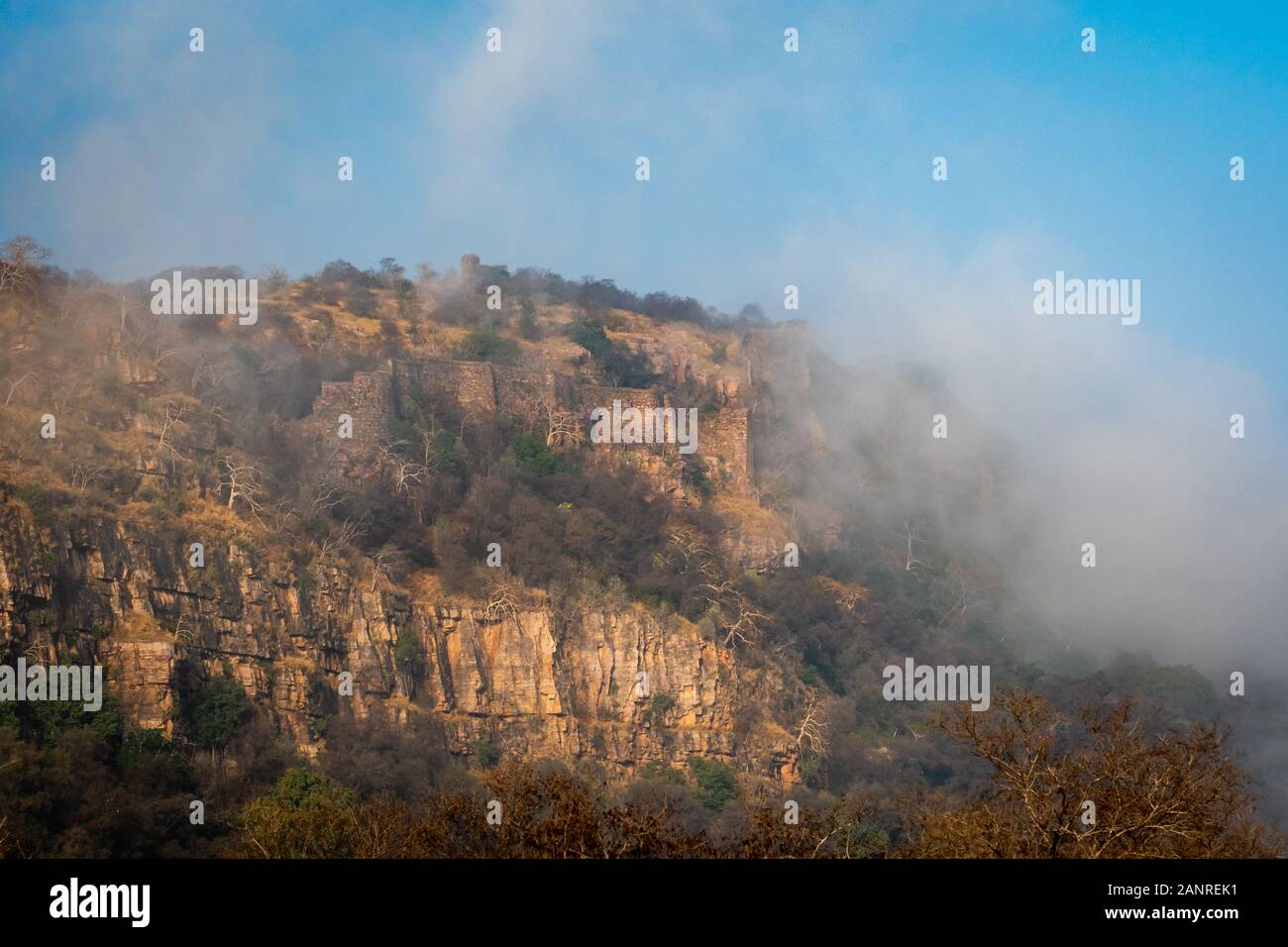 Sawai madopur rajasthan hi-res stock photography and images - Alamy