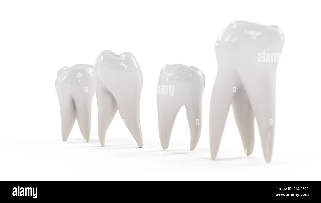 3d illustration Healthy teeth isolated on white background. Set of ...