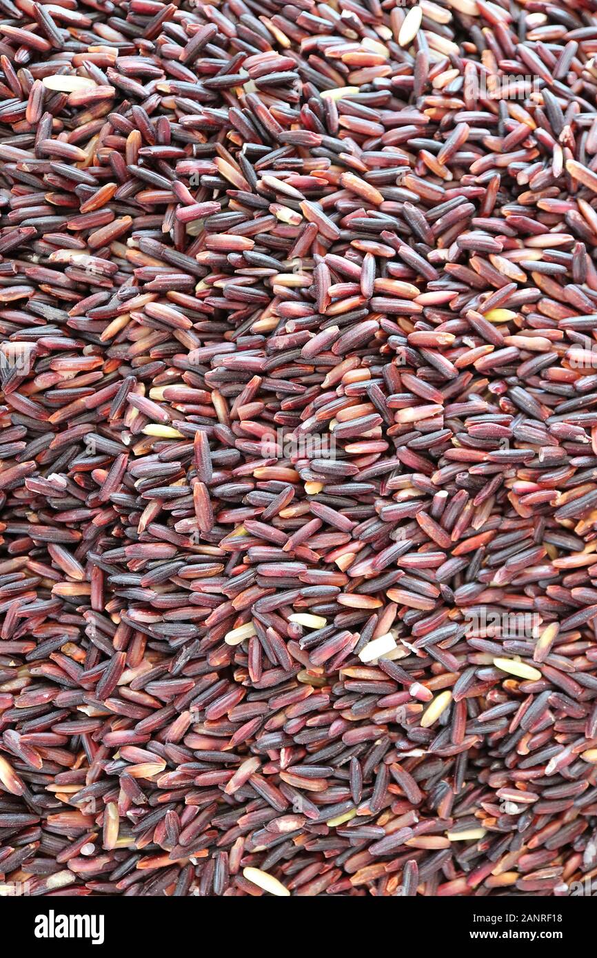Deep Purple Uncooked Rice-berry Rice Grains for Background or Wallpaper ...