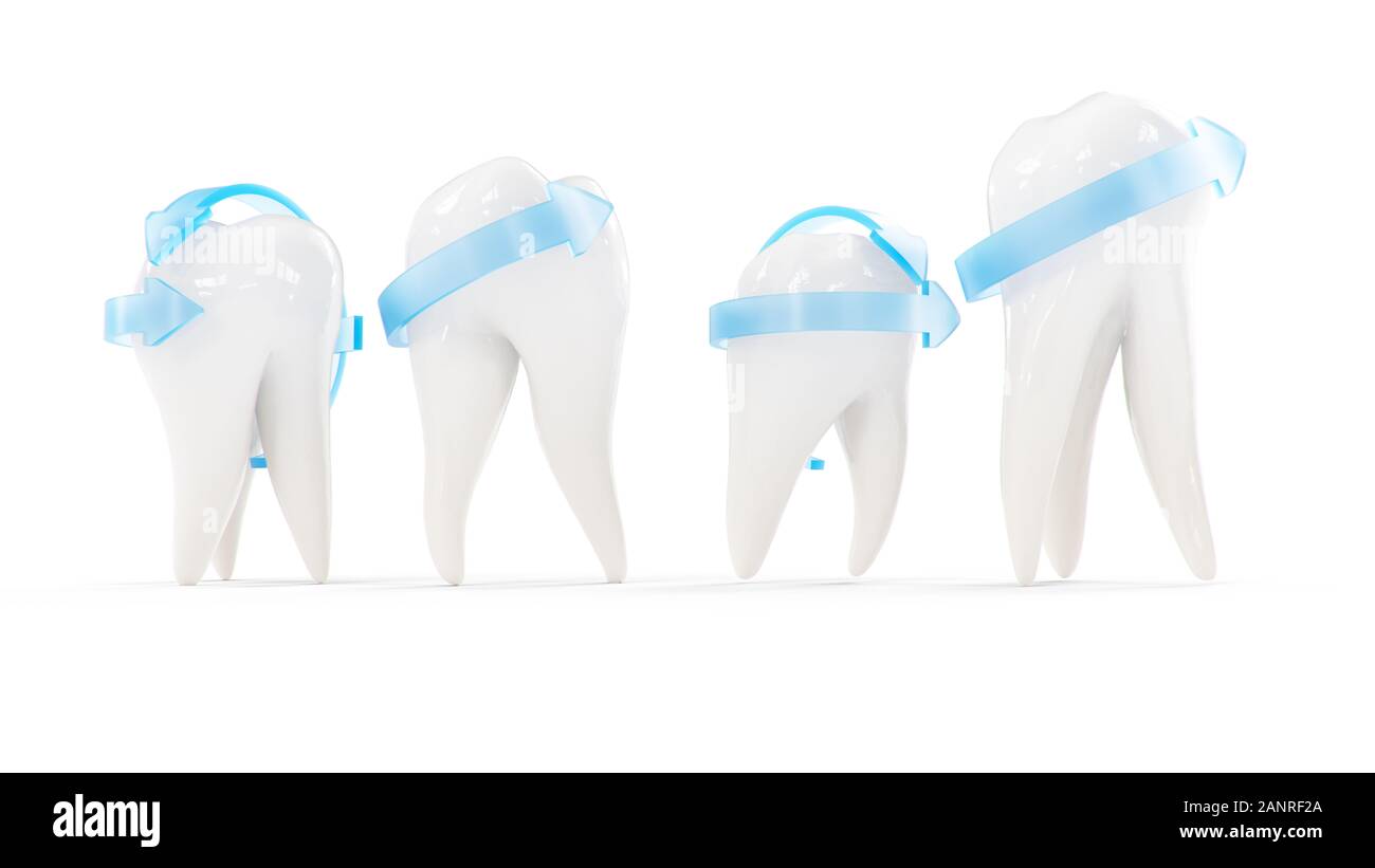 Healthy protected teeth isolated on white background. Set of teeth. The ...