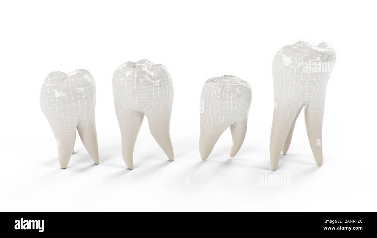 Healthy protected teeth isolated on white background. Set of teeth. The ...