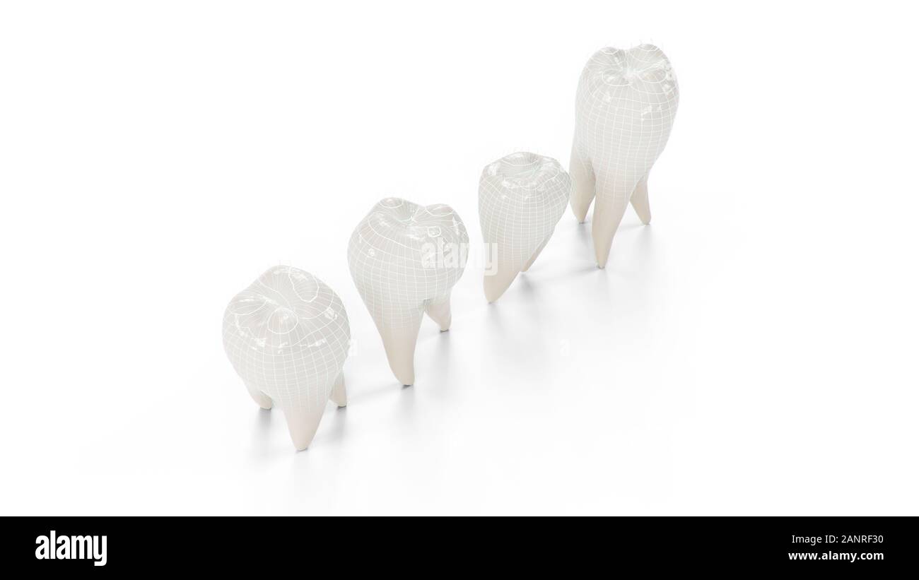 Healthy protected teeth isolated on white background. Set of teeth. The ...