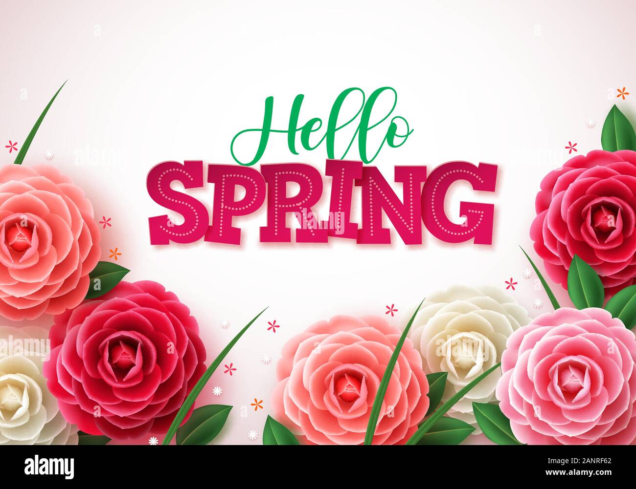 Blooming camellia Stock Vector Images - Alamy