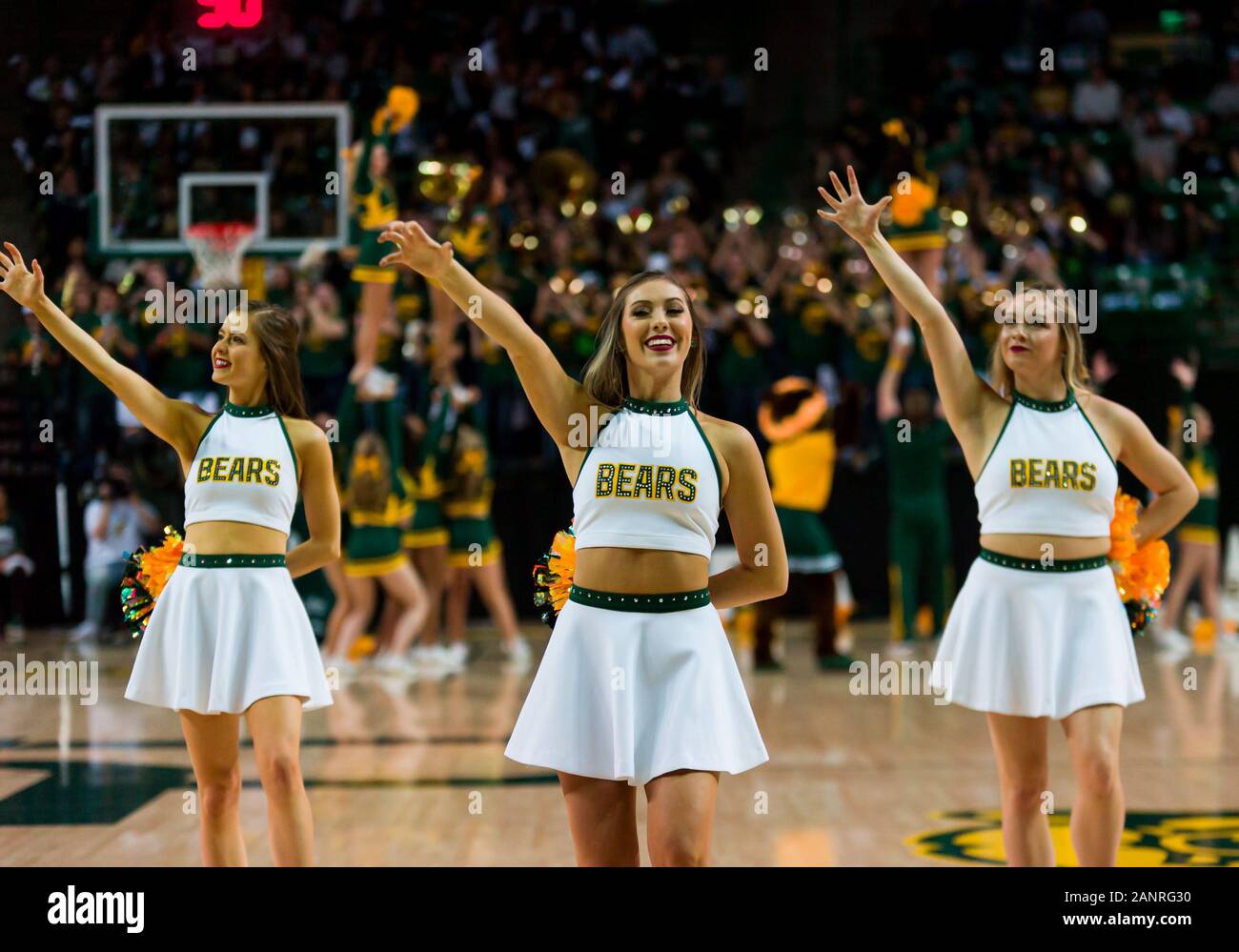 Baylor lady bears basketball hi-res stock photography and images - Alamy