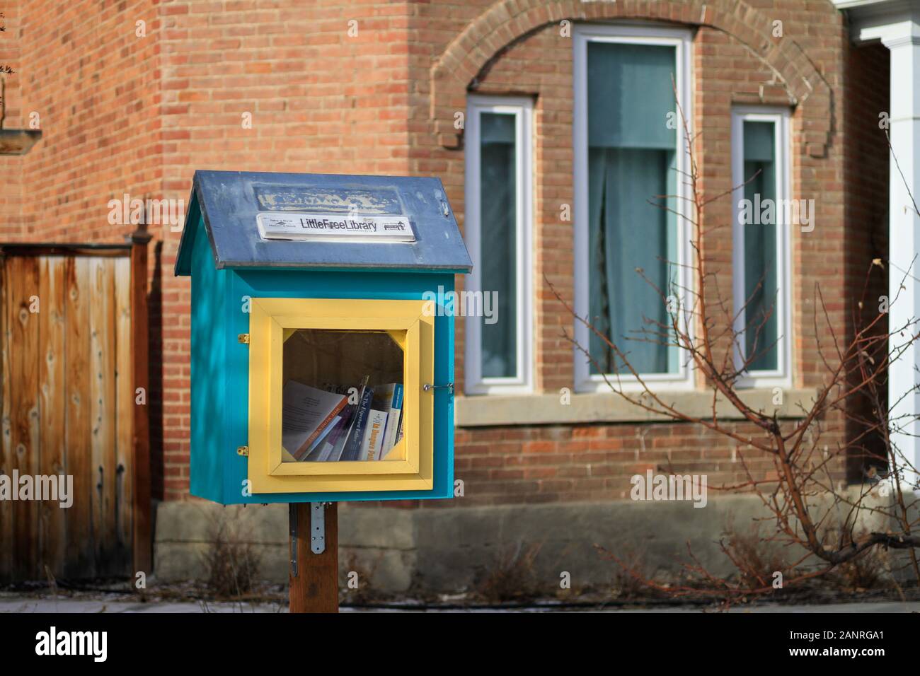 Little Free Library Box, a community small book exchange idea, in ...