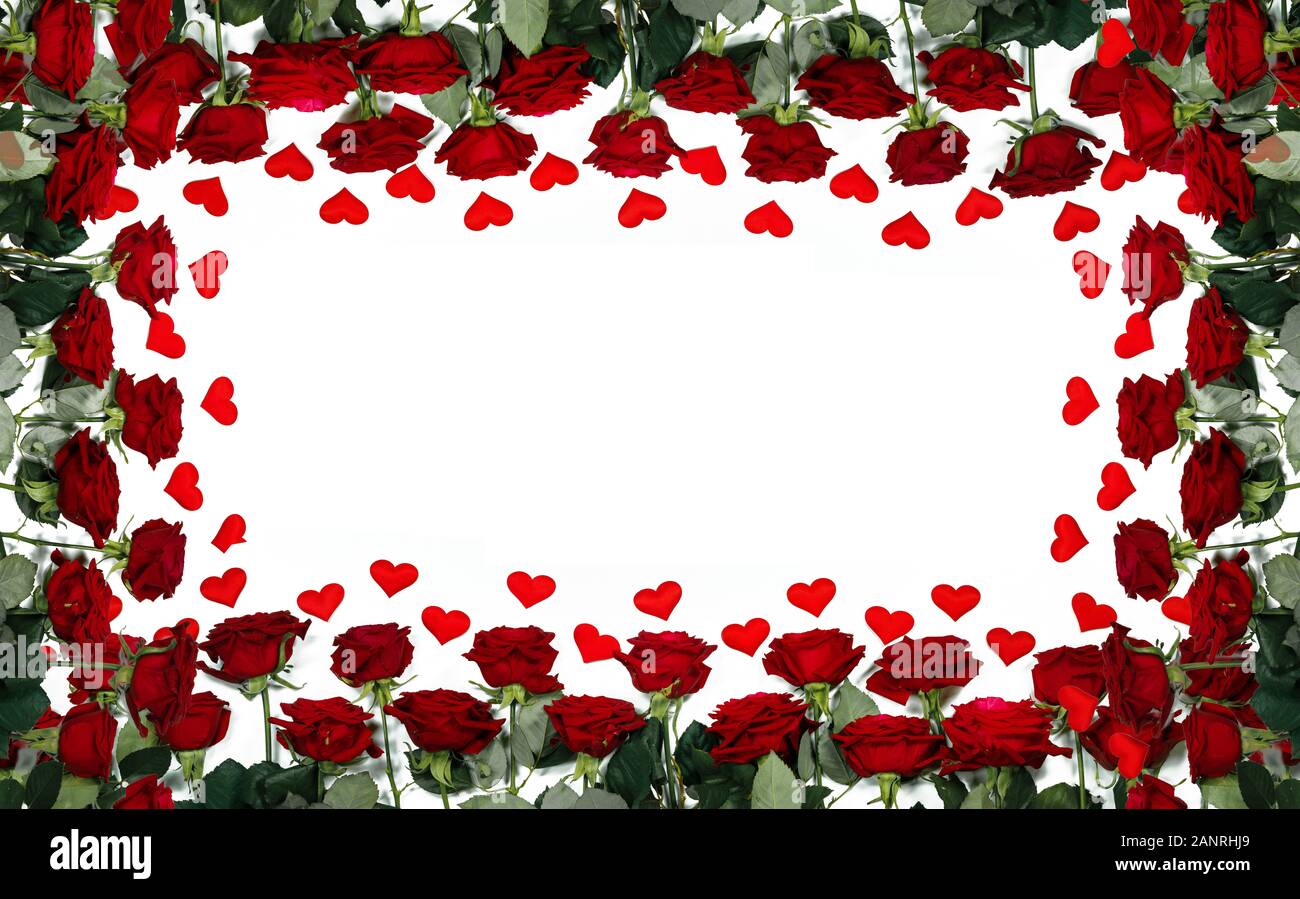 Red roses and the paper hearts border frame isolated on white ...