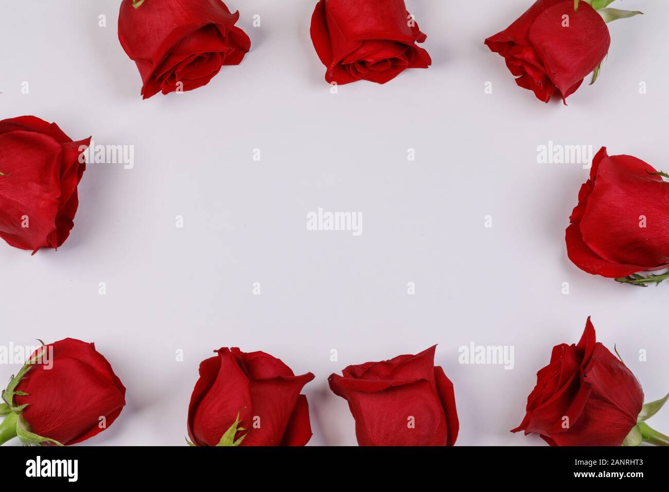 Rose flowers frame hi-res stock photography and images - Alamy