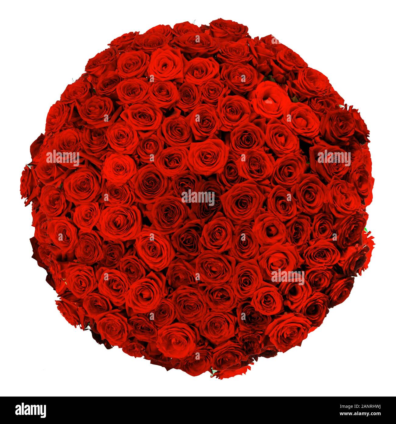 Beautiful many red roses bouquet isolated on white background Stock ...
