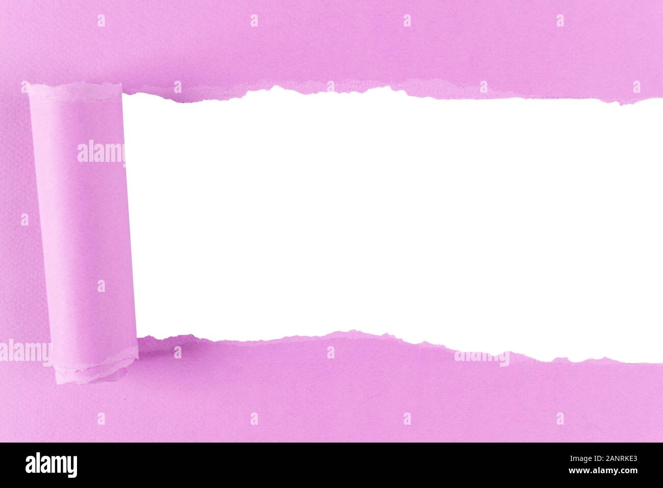 Torn paper with rolled edge with blank space. Torn paper with white ...