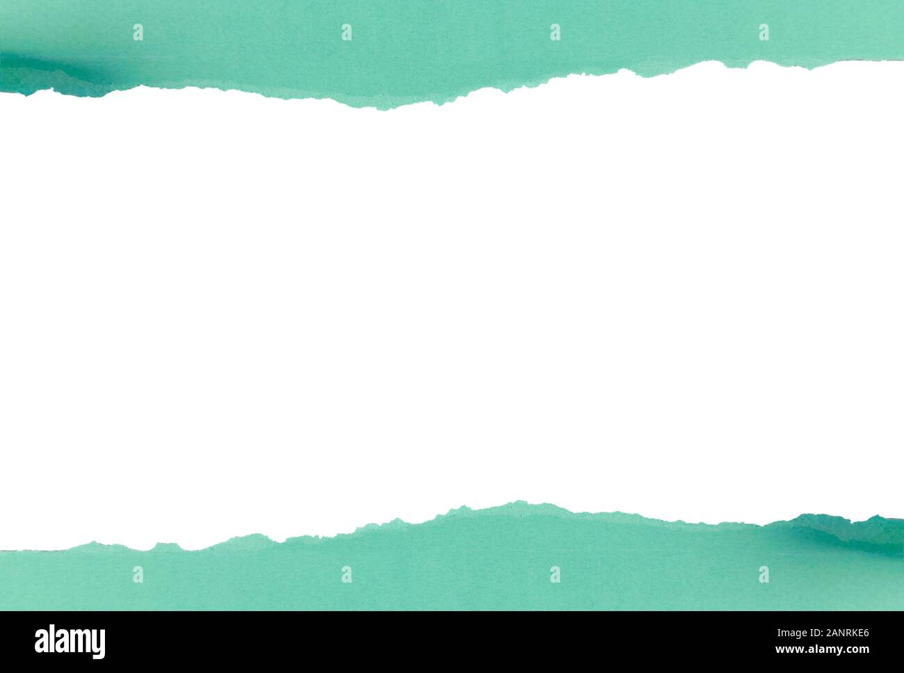 Torn paper with rolled edge with blank space. Torn paper with white ...