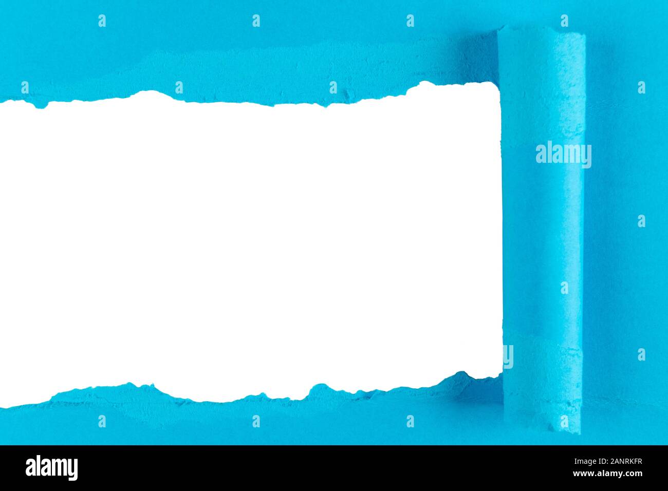 Torn paper with rolled edge with blank space. Torn paper with white ...