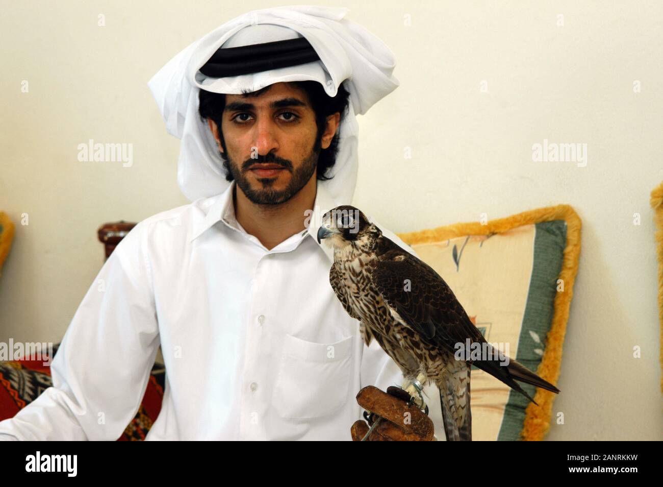 Bedouin falcon hi-res stock photography and images - Alamy