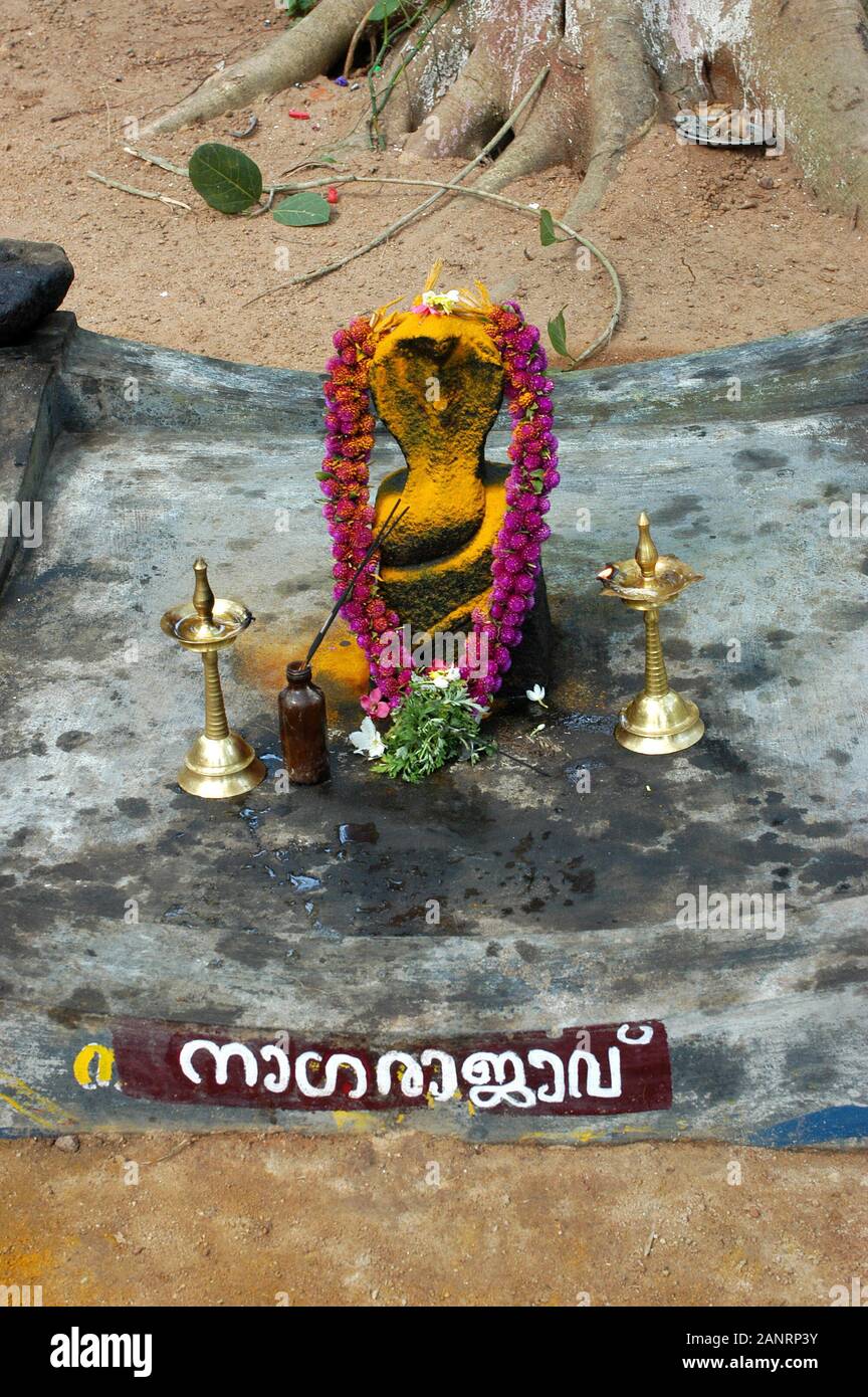 Serpent god india hi-res stock photography and images - Alamy