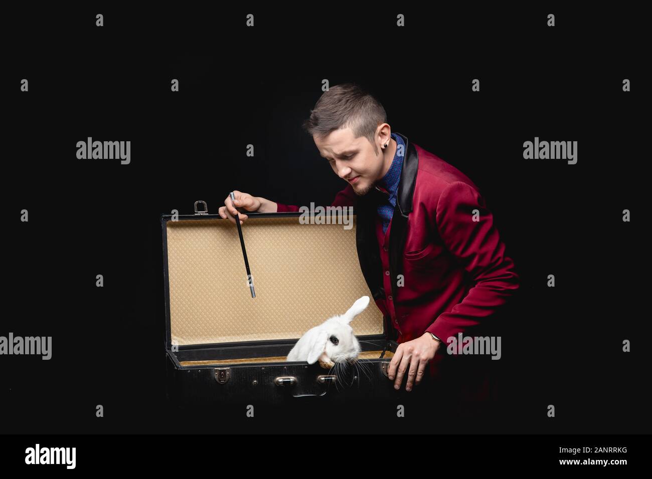 Magician shows trick with disappearance white rabbit in suitcase magic ...