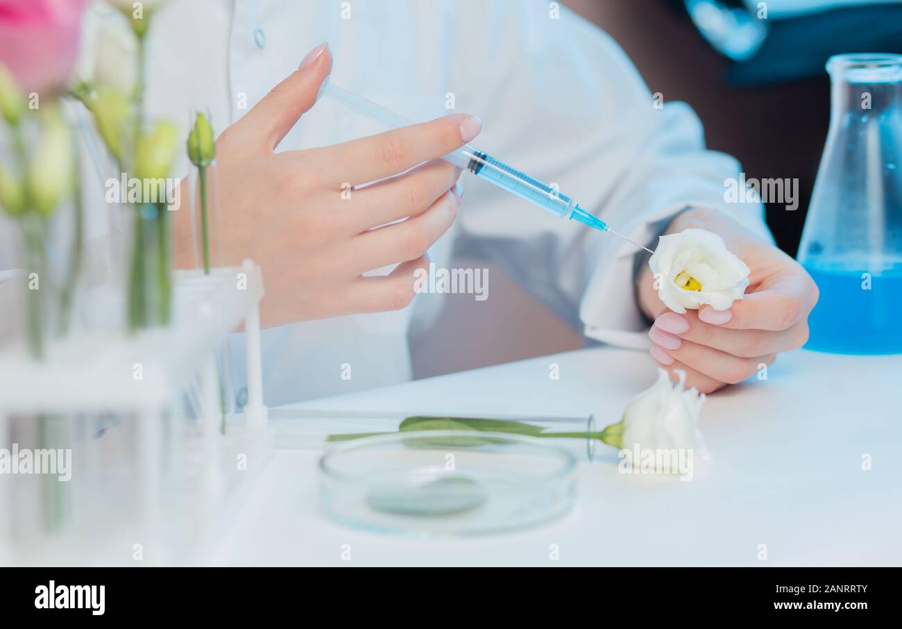 Biotechnology concept. Extracts oil syringe from flowers test natural ...