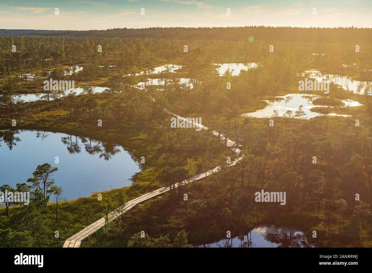 Sunset in the bog, golden marsh, lakes and nature environment. Sundown ...