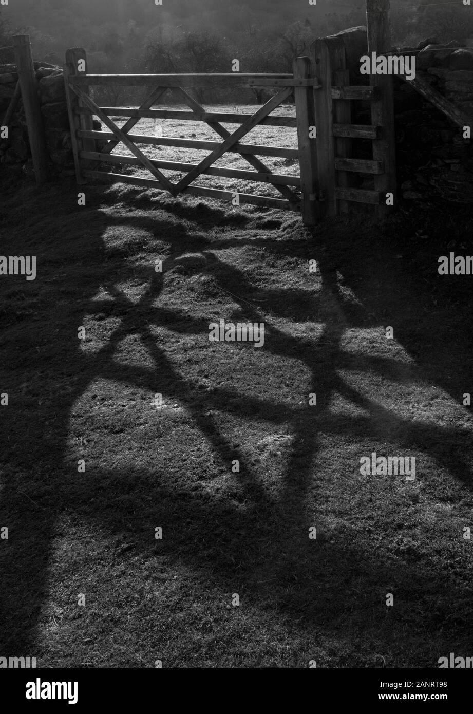 Backlit wooden gate casting long shadow onto grass, black and white ...
