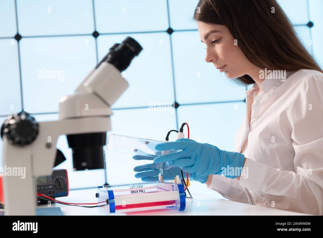 Loading Samples and Running an Agarose Gel for electrophoresis, Gel ...