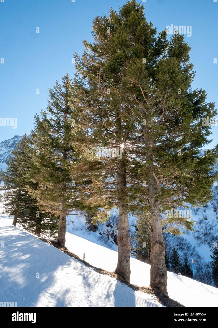 Snow in the mountains on a sunny winter's day, photographed between ...