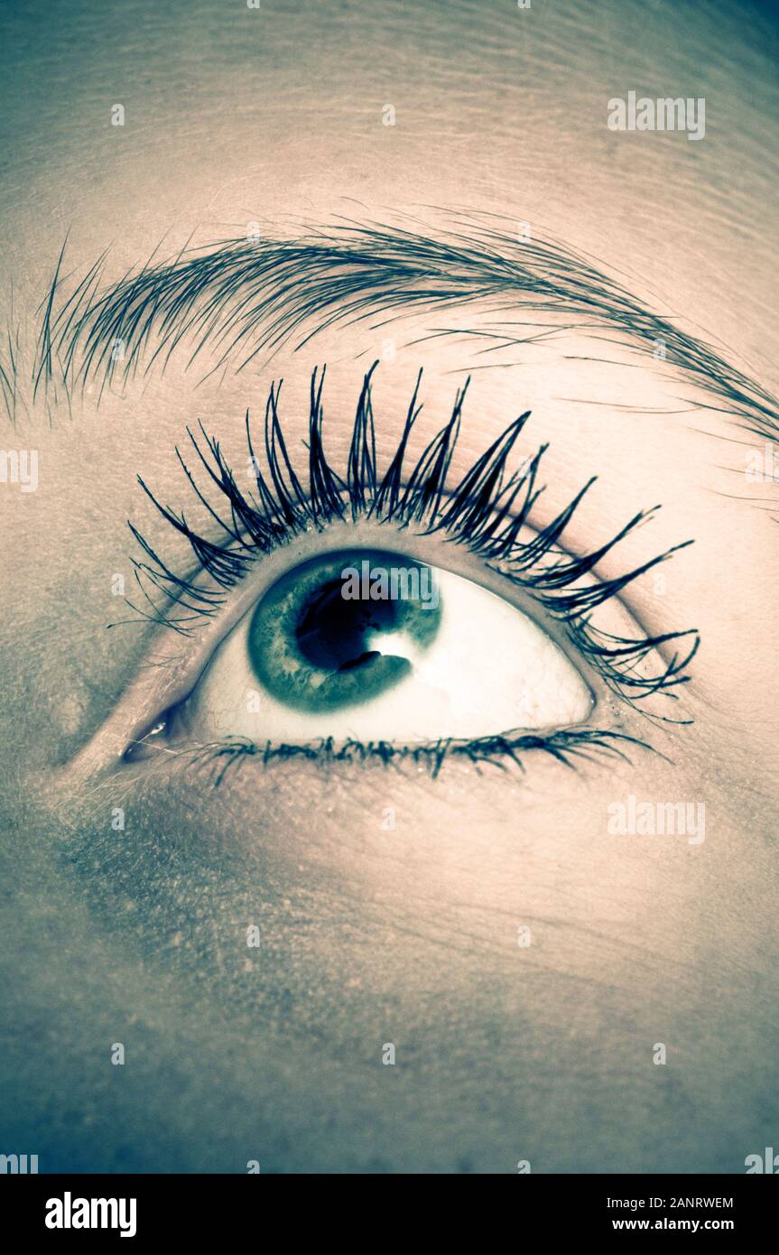 close up of an open female eye Stock Photo - Alamy