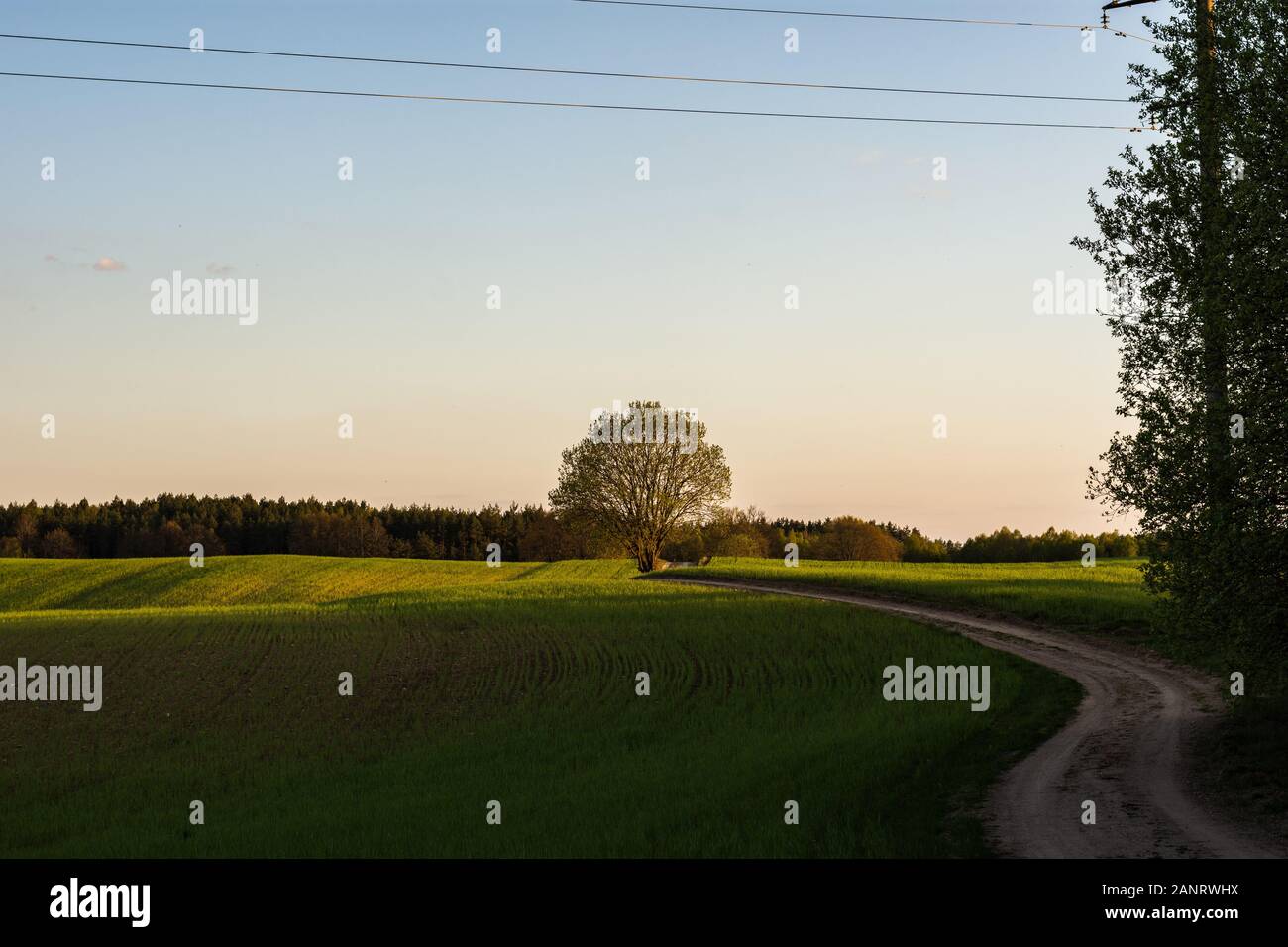 A loner hi-res stock photography and images - Alamy