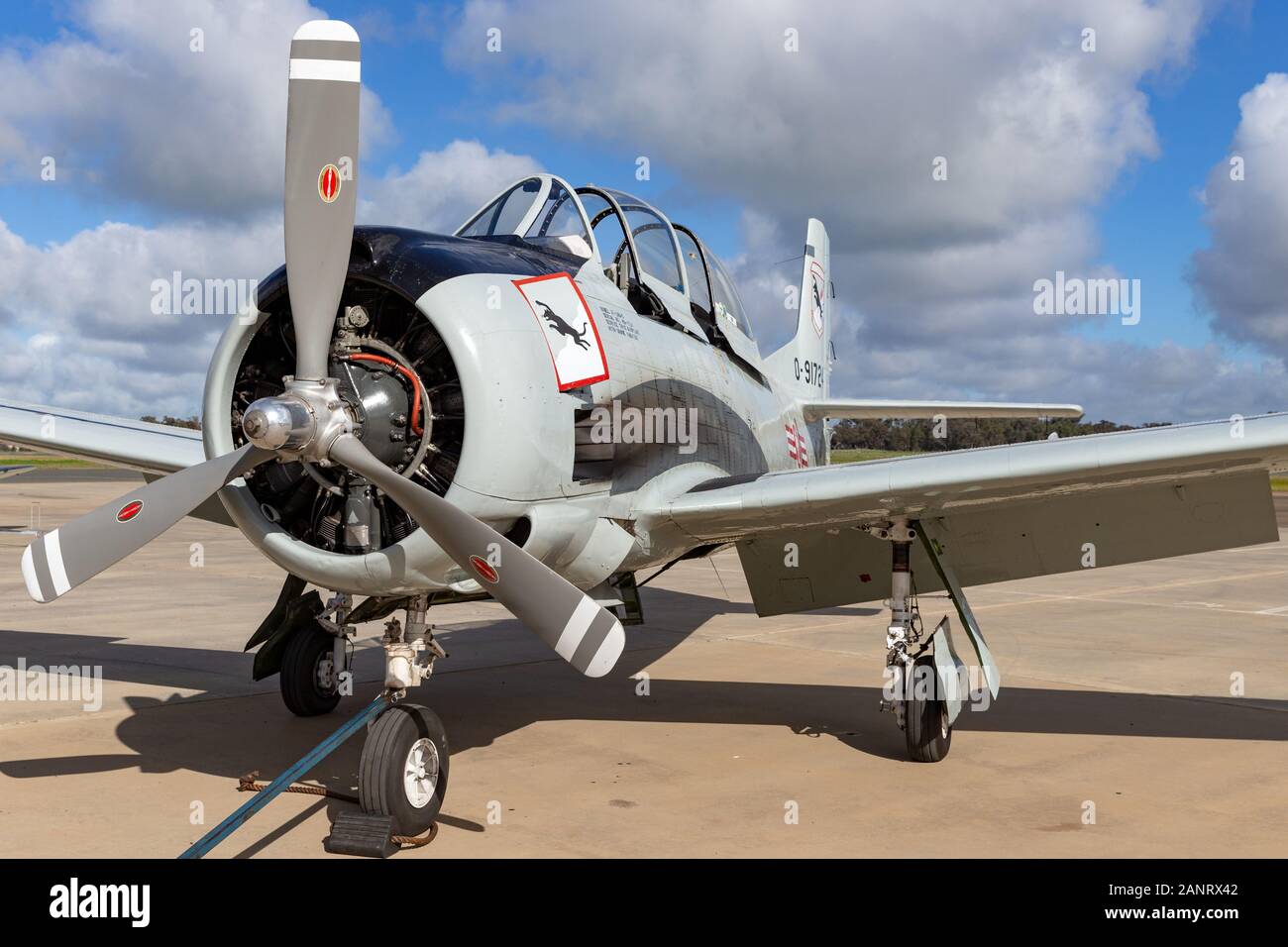 North American T-28D Trojan aircraft VH-MEO the was used as a trainer ...
