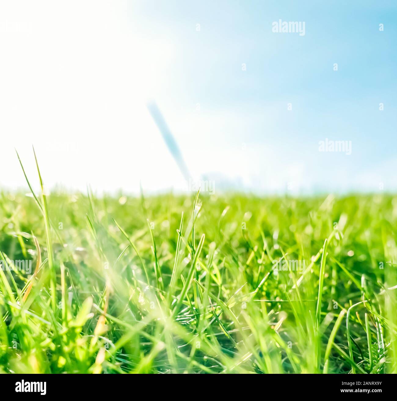 Earth landscape, growth and natural environment concept - Fresh grass ...