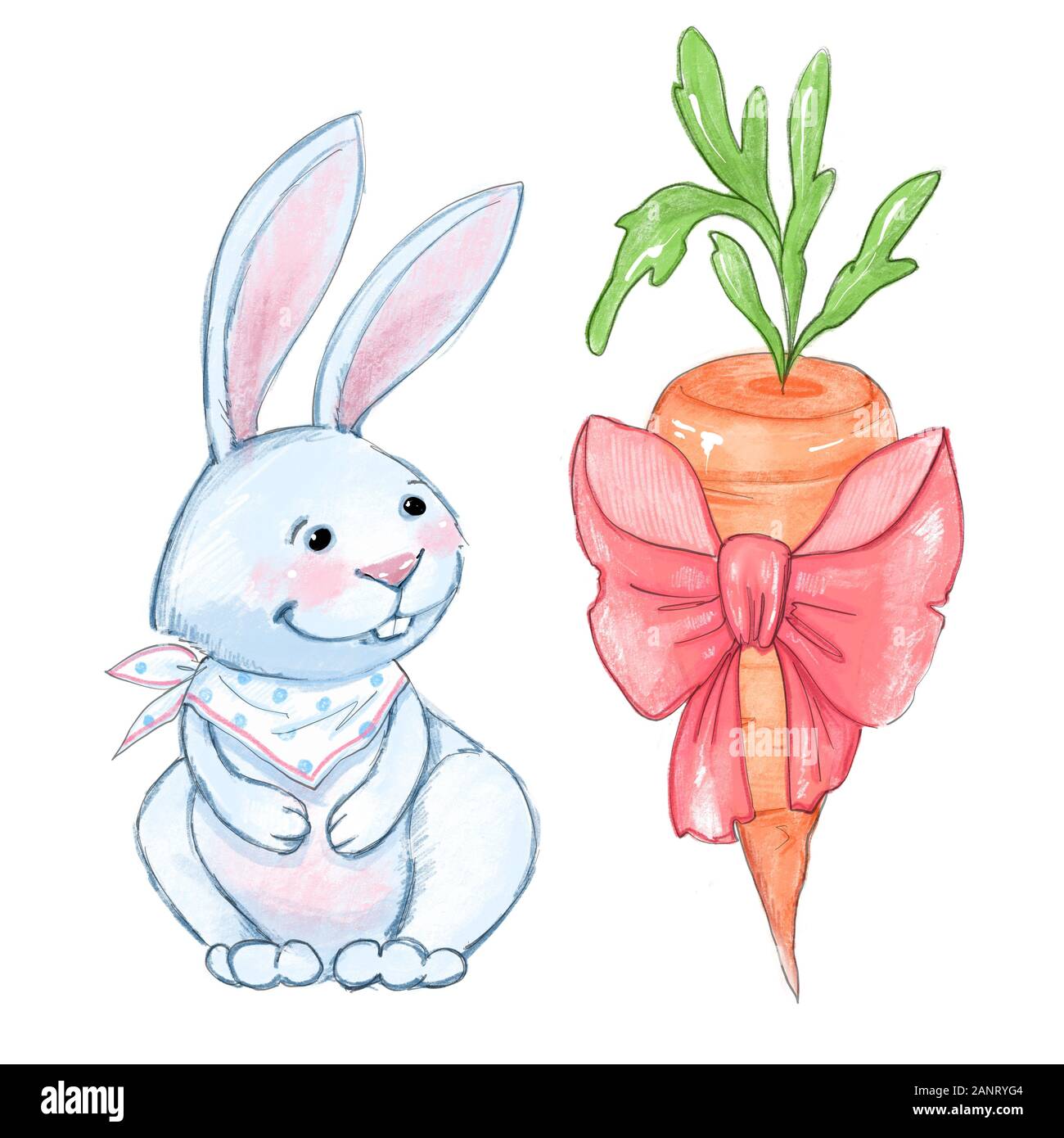 Rabbit and carrot isolated on white background Stock Photo - Alamy