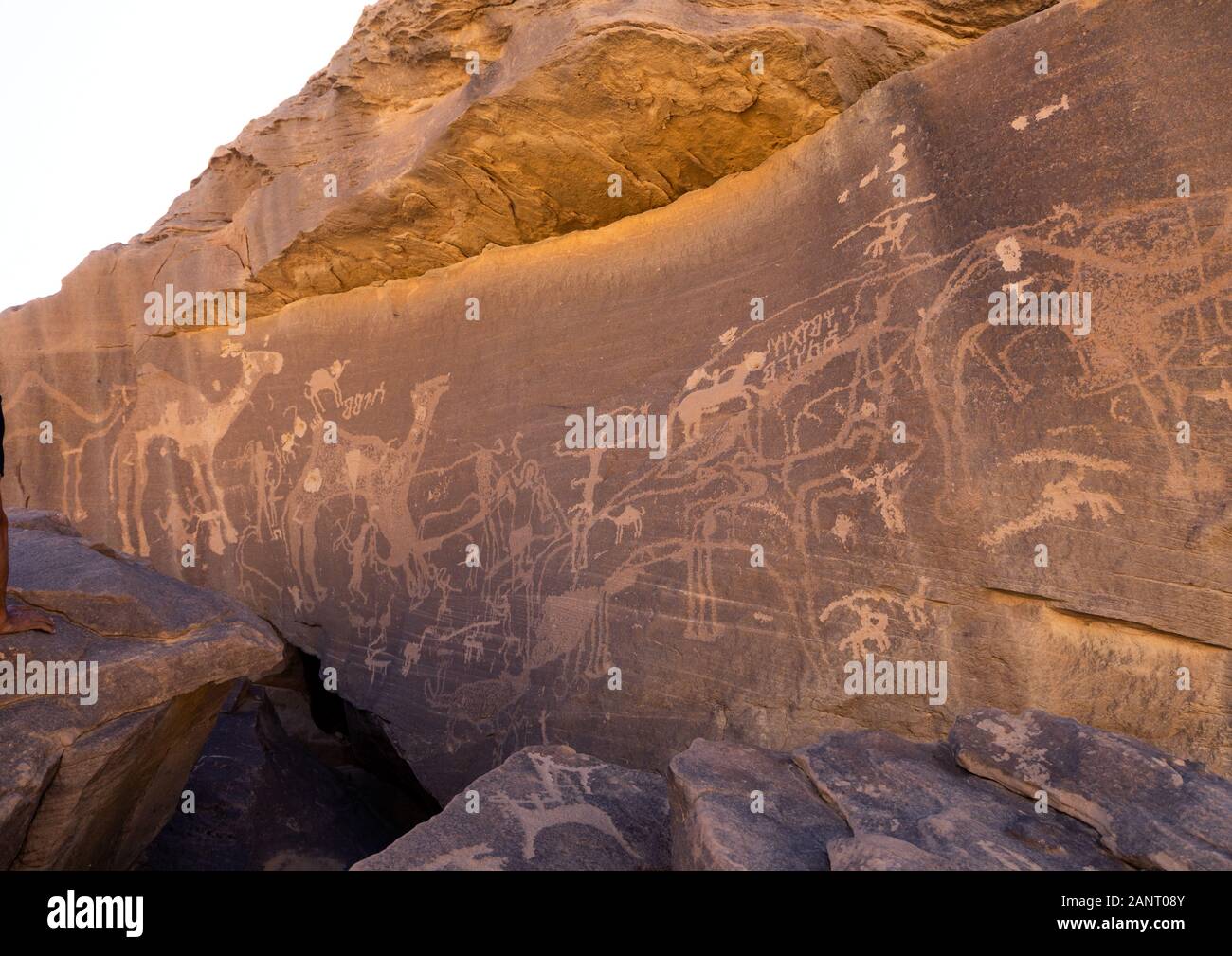 Petroglyphs on a rock depicting hunters, Najran Province, Thar, Saudi ...