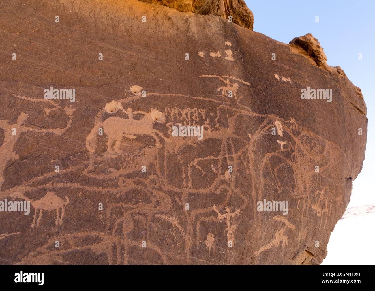 Petroglyphs on a rock depicting hunters, Najran Province, Thar, Saudi ...