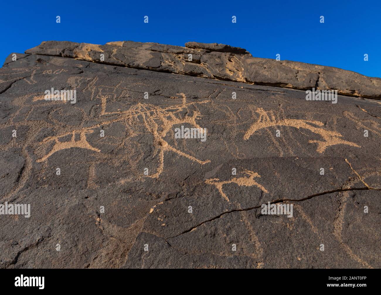 Petroglyphs on a rock depicting hunters, Najran Province, Thar, Saudi ...