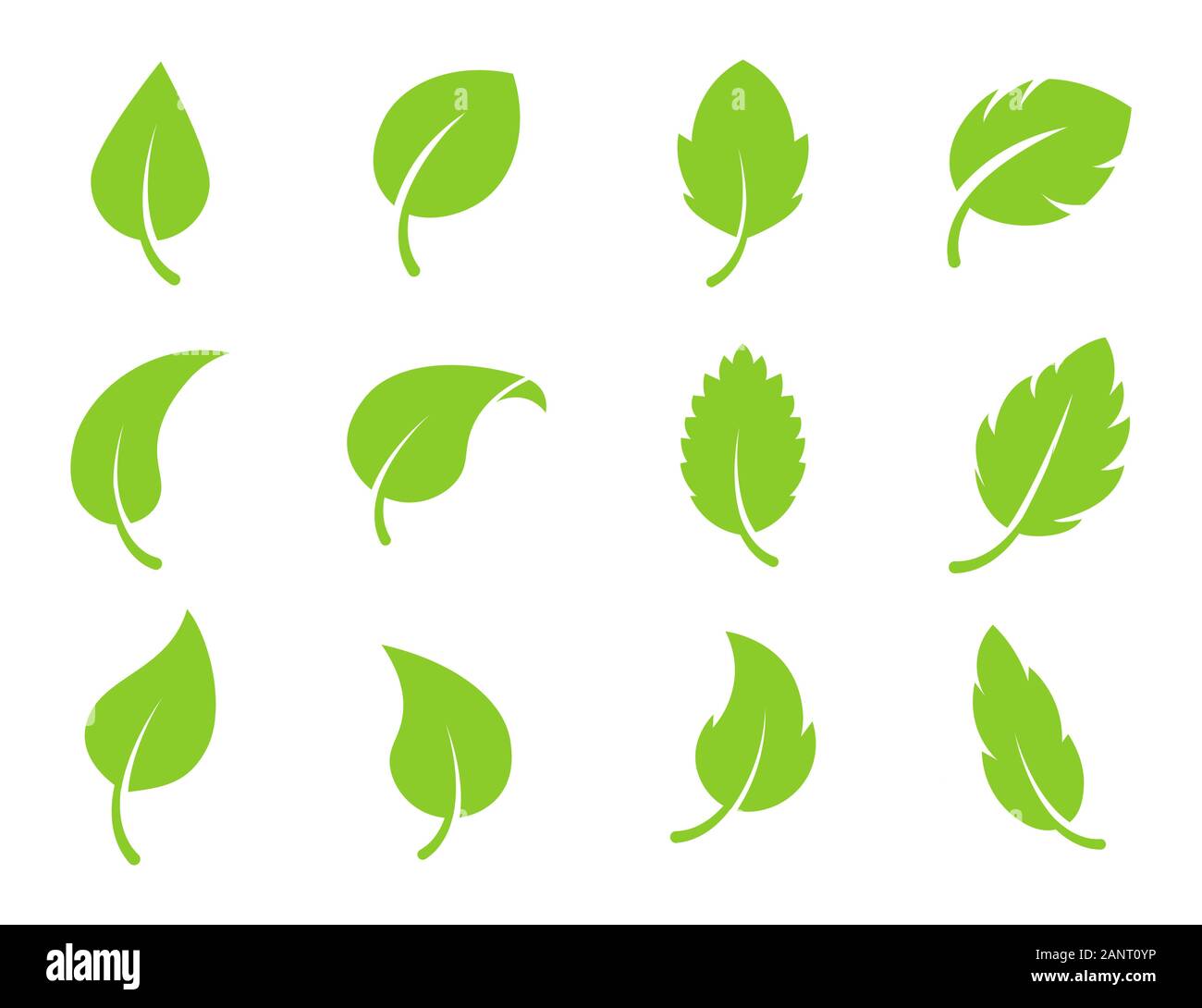 Leaf flat icon set. Eco green logo. Vector flat leaves shapes. Bio ...