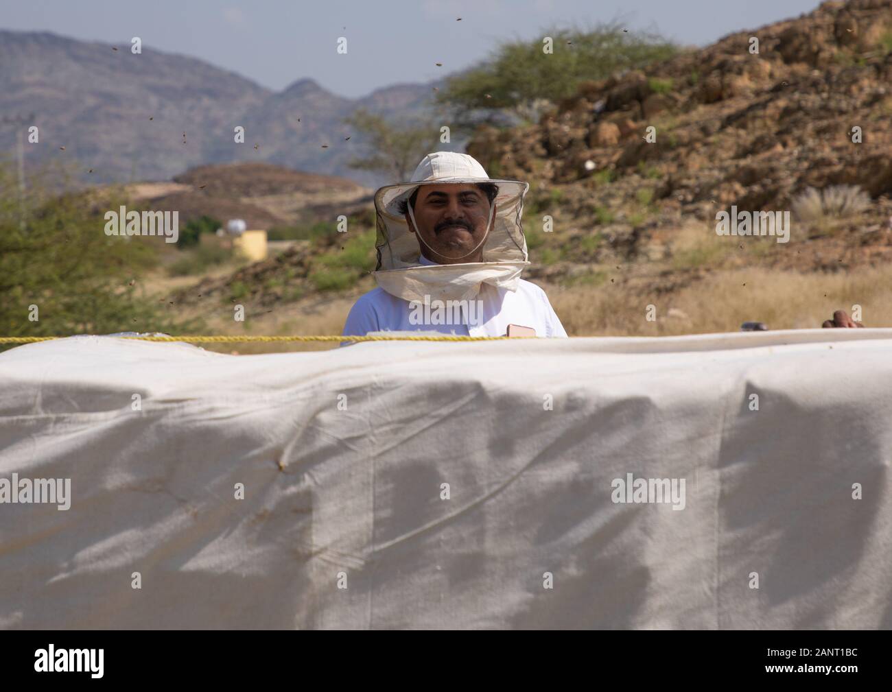 Saudi beekeeper working in the beehives, Jizan province, Addarb, Saudi ...