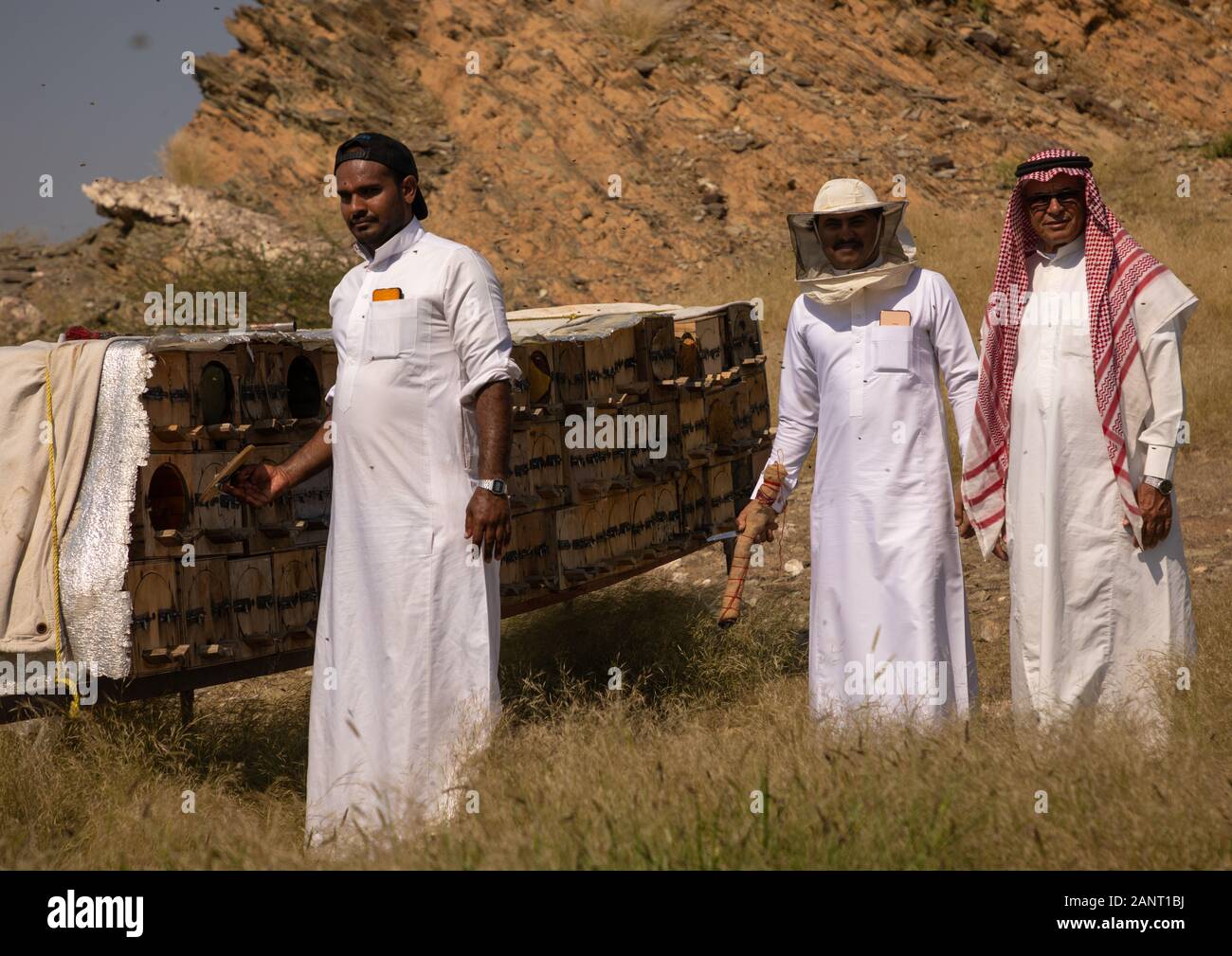 Saudi beekeepers working in the beehives, Jizan province, Addarb, Saudi ...