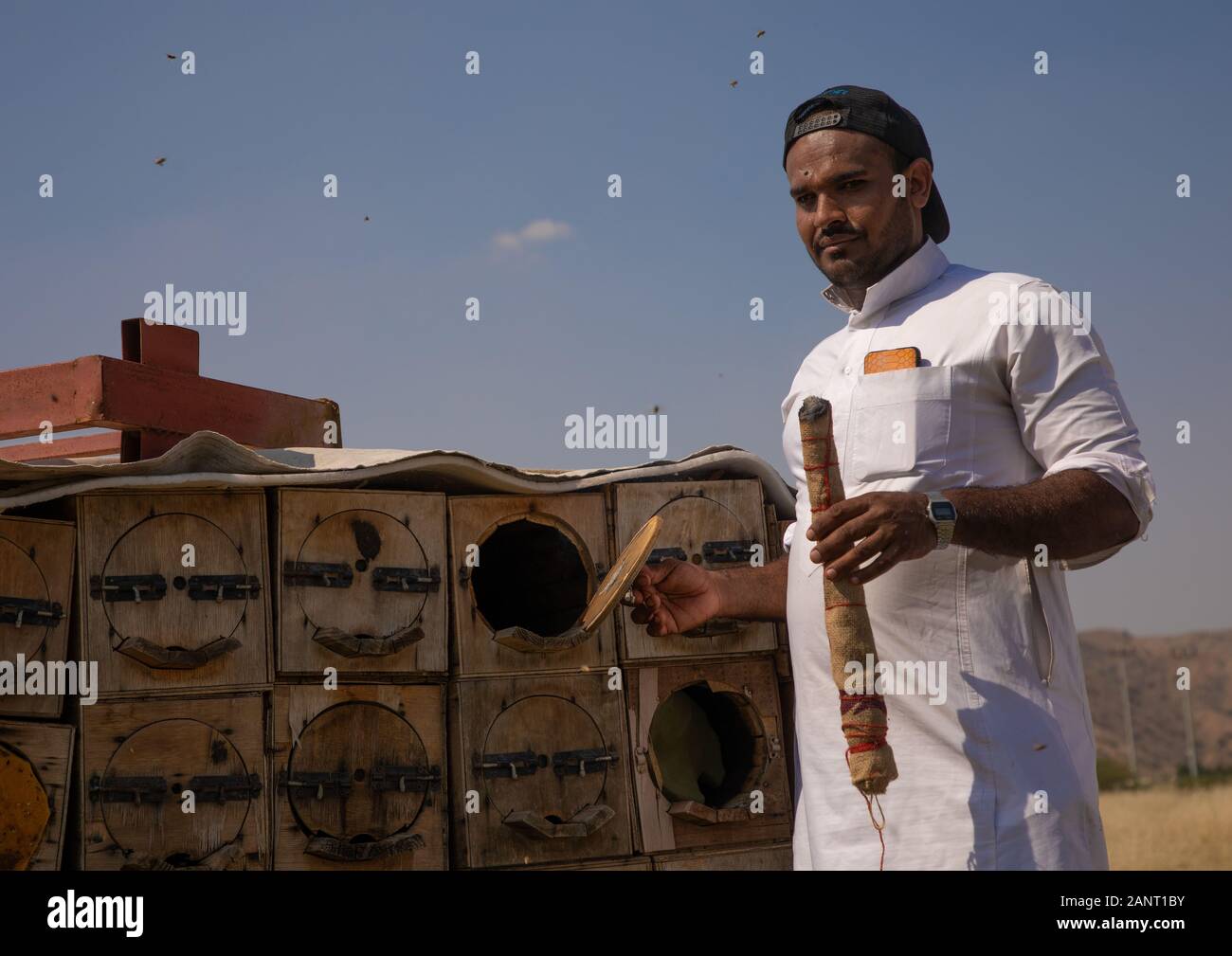 Beekeeper wax hi-res stock photography and images - Alamy
