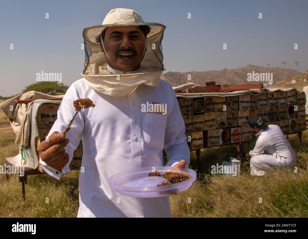 Saudi beekeeper working in the beehives, Jizan province, Addarb, Saudi ...