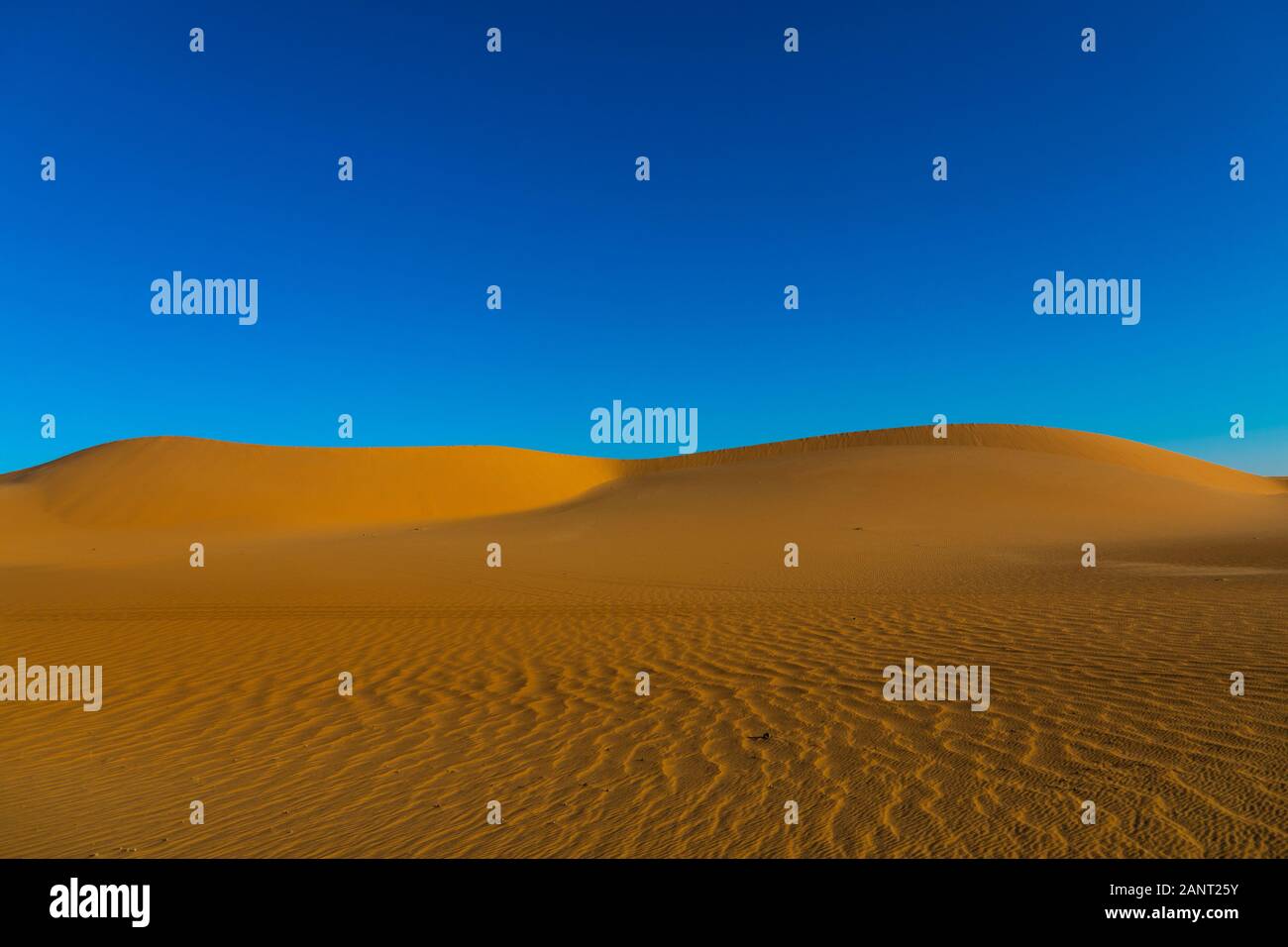 Sand dunes in the Rub' al Khali empty quarter desert, Najran province ...